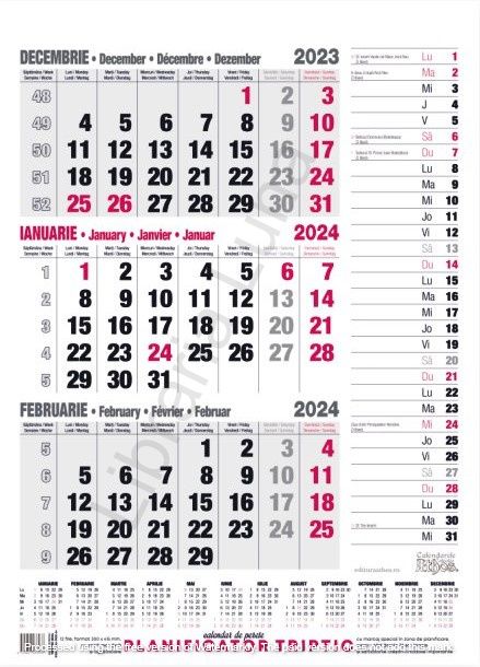 CALENDAR DE PERETE TRIPTIC 2024. PLANIFICATOR - eVitalShop